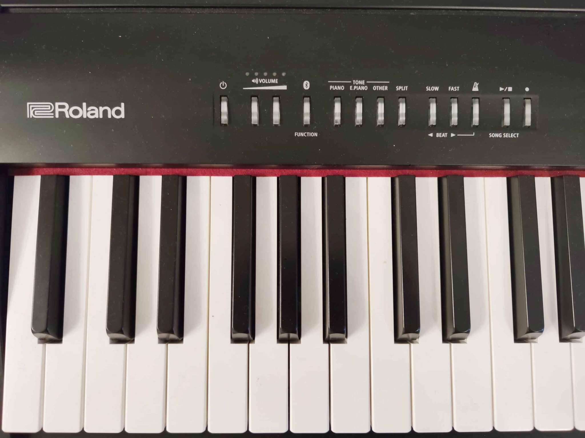 Casio PX-870 Vs Roland FP-30: Which Piano Should You Choose?